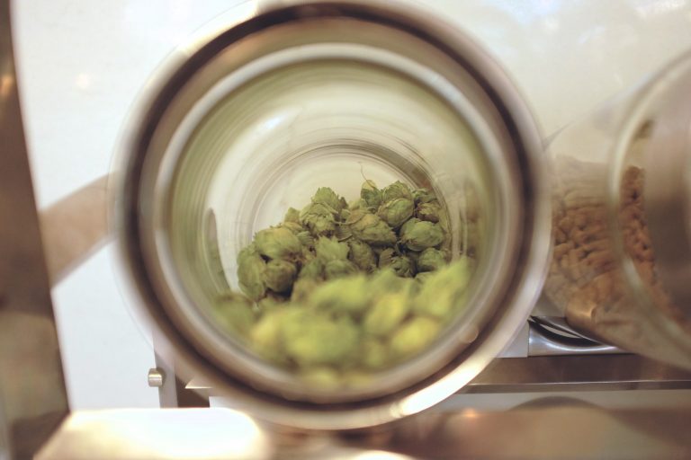 Lúpulo: ¿Qué es y qué aporta a la cerveza?